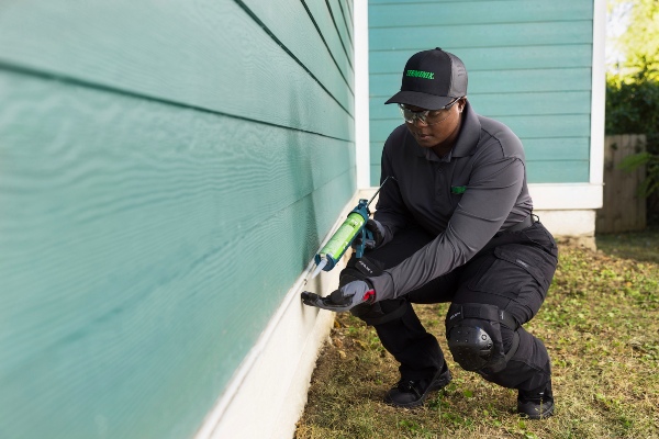 How Does Rodent Control and Exclusion Work?