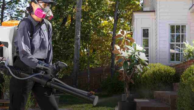 Mosquito Control & Treatment: Yard Spraying Services - Terminix