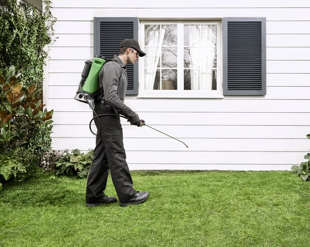 Termite Treatment & Control | Termite Exterminator